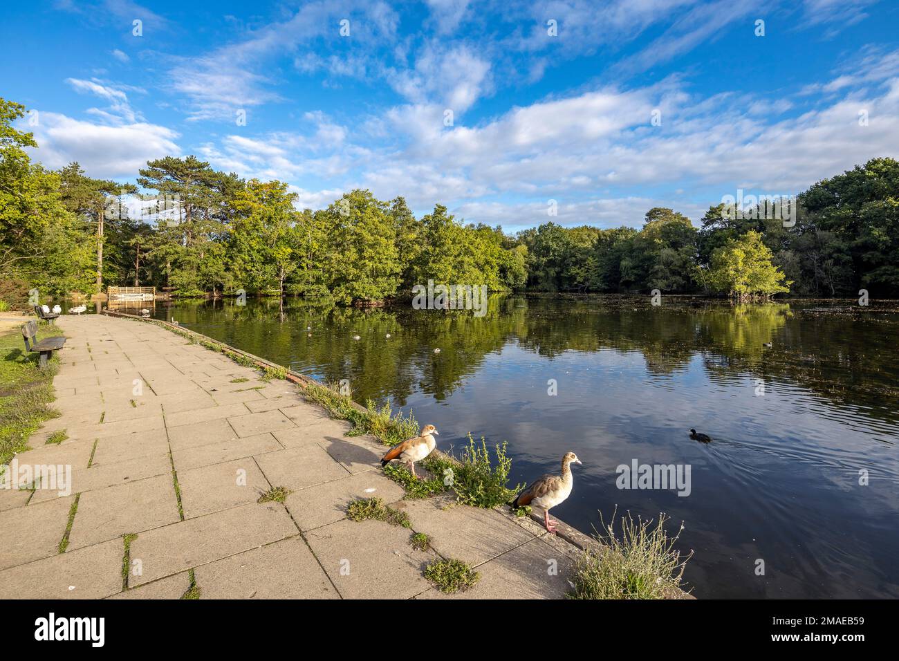Arborfield & Wokingham Stock Photo - Alamy