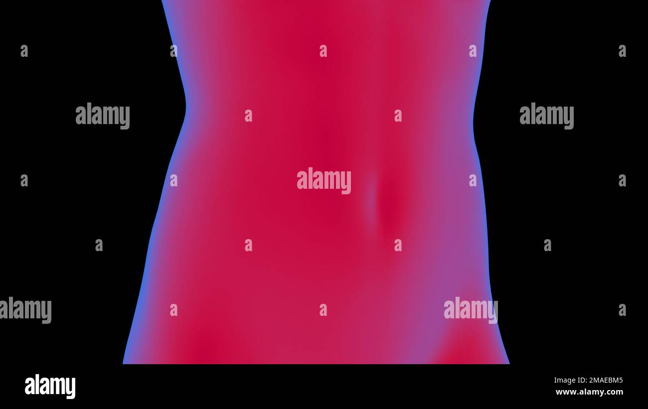 Female body anatomy Stomach 3D illustration Stock Photo - Alamy