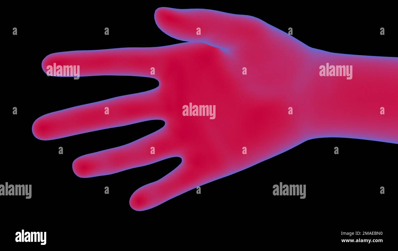 Female body anatomy Human Hand 3D illustration Stock Photo - Alamy
