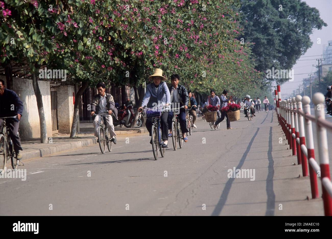 China cycle lanes hi-res stock photography and images - Alamy
