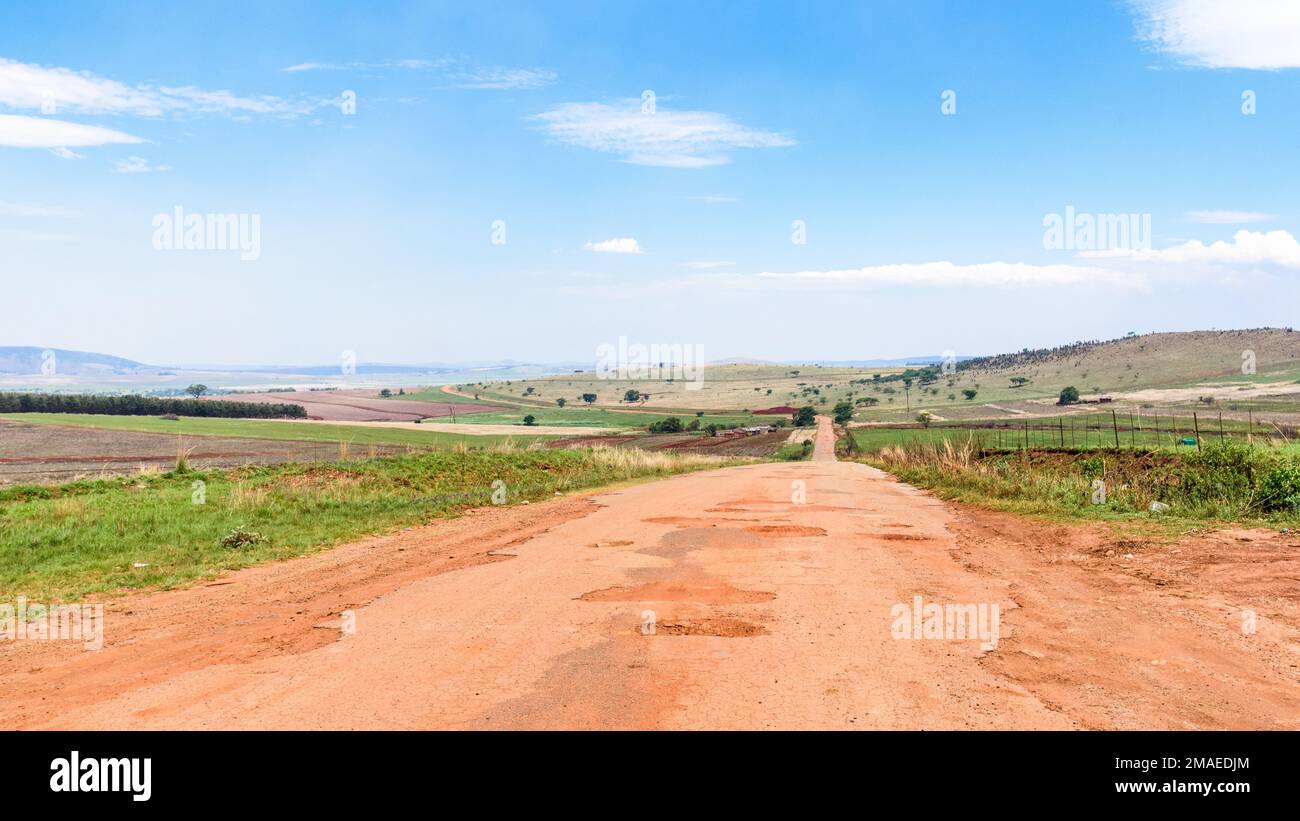 An endless dirt road in the middle of a vast field Stock Photo - Alamy