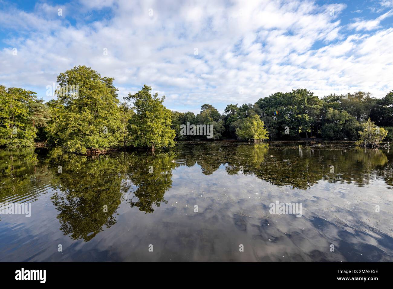 Arborfield & Wokingham Stock Photo - Alamy