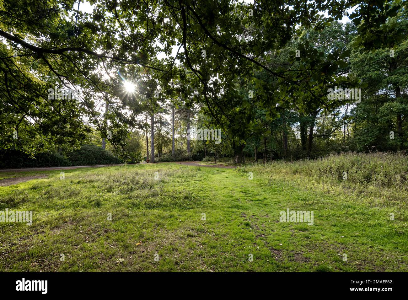 Arborfield & Wokingham Stock Photo - Alamy
