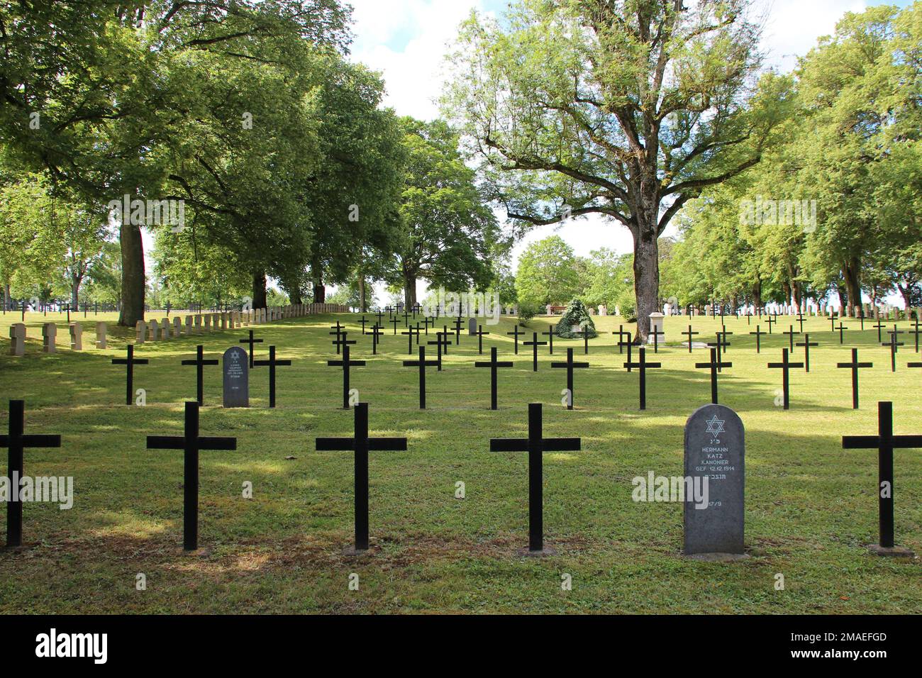 german military cemetery in thiaucourt-regniéville in lorraine (france ...