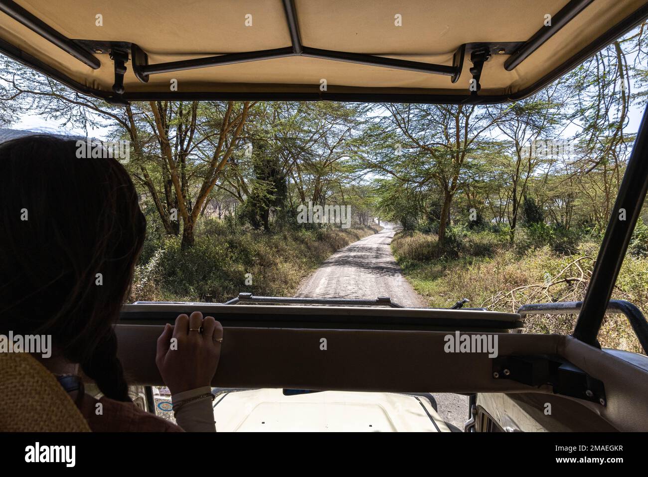 Safari trail tour hi-res stock photography and images - Alamy