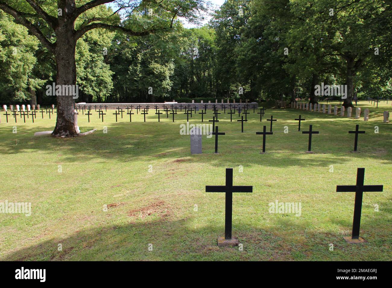 german military cemetery in thiaucourt-regniéville in lorraine (france ...