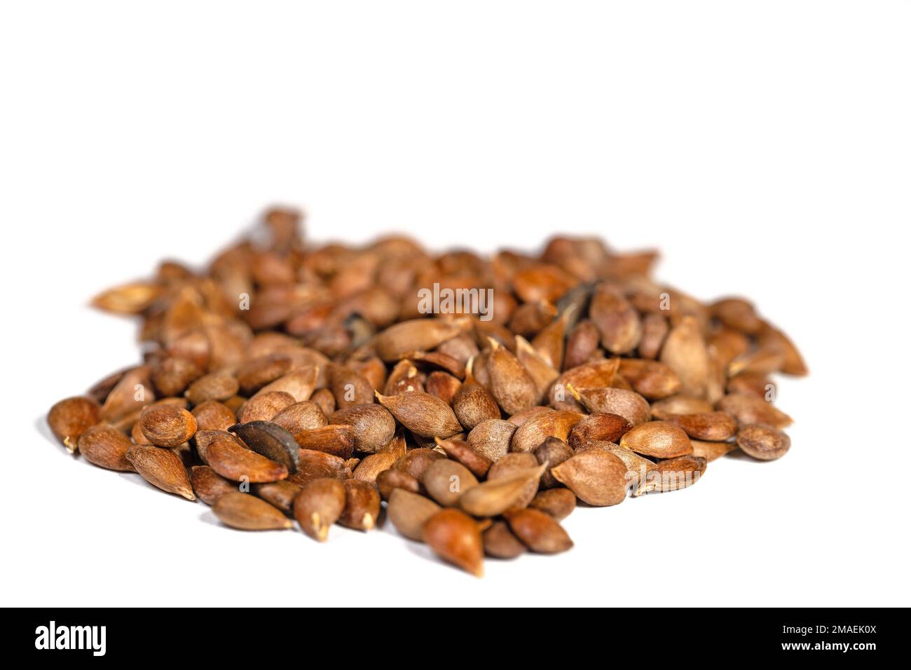 Apple cores against white background Stock Photo - Alamy