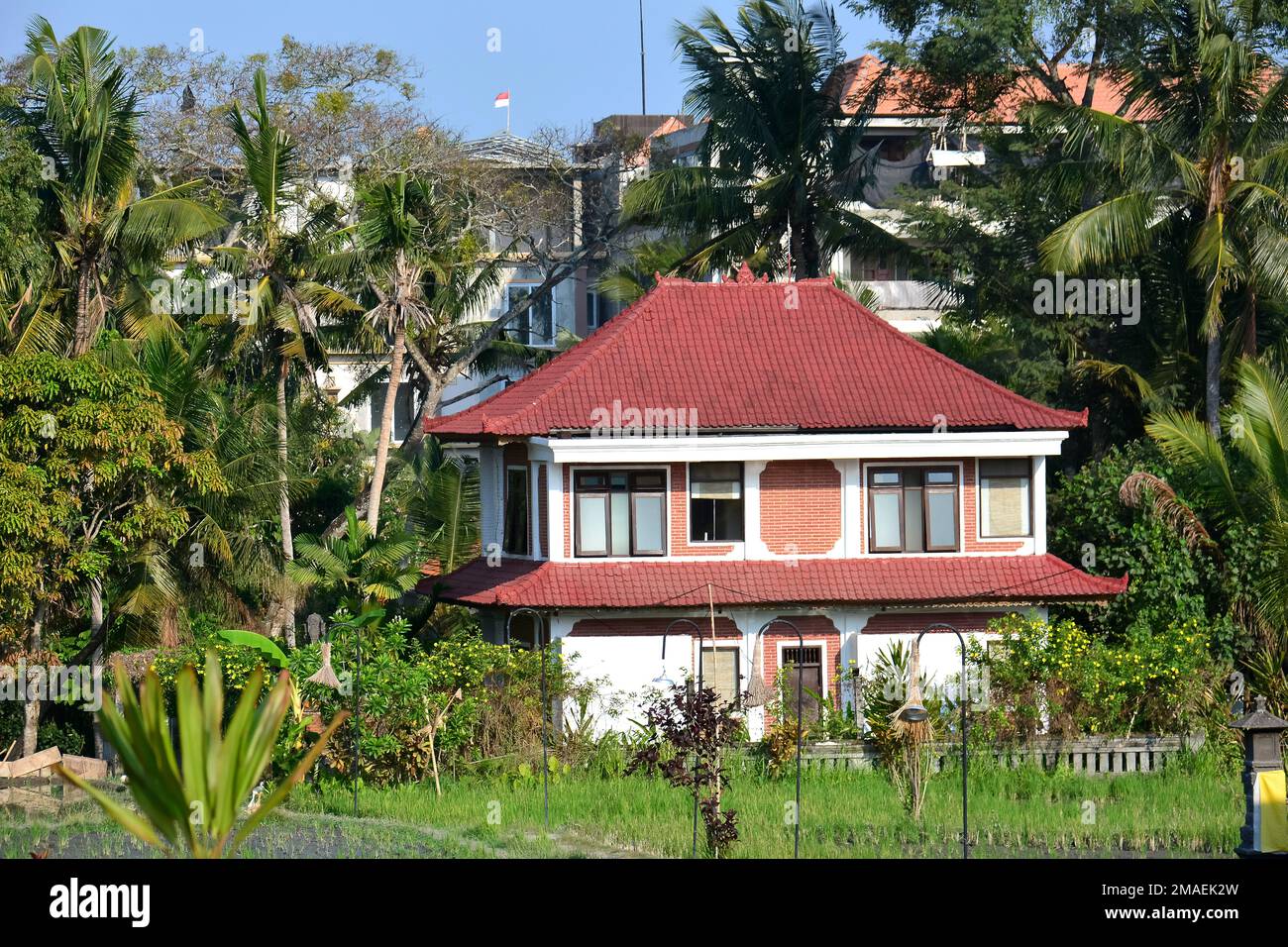 Ubud, Gianyar regency, Bali, Indonesia, Asia Stock Photo - Alamy