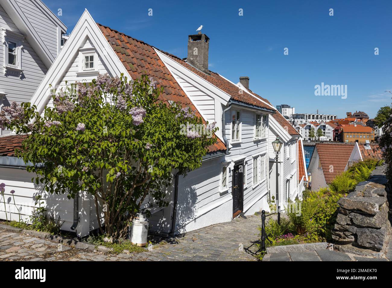 The historic old town of Stavanger in Norway, with the iconic wood ...
