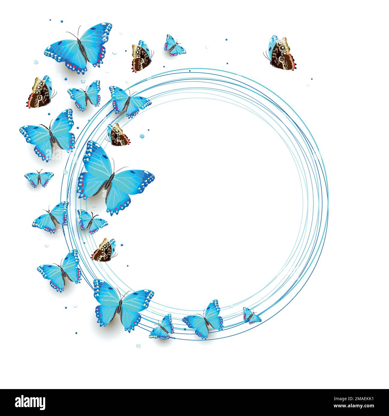 flock of blue flying butterflies on a white background Stock Vector Image & Art - Alamy