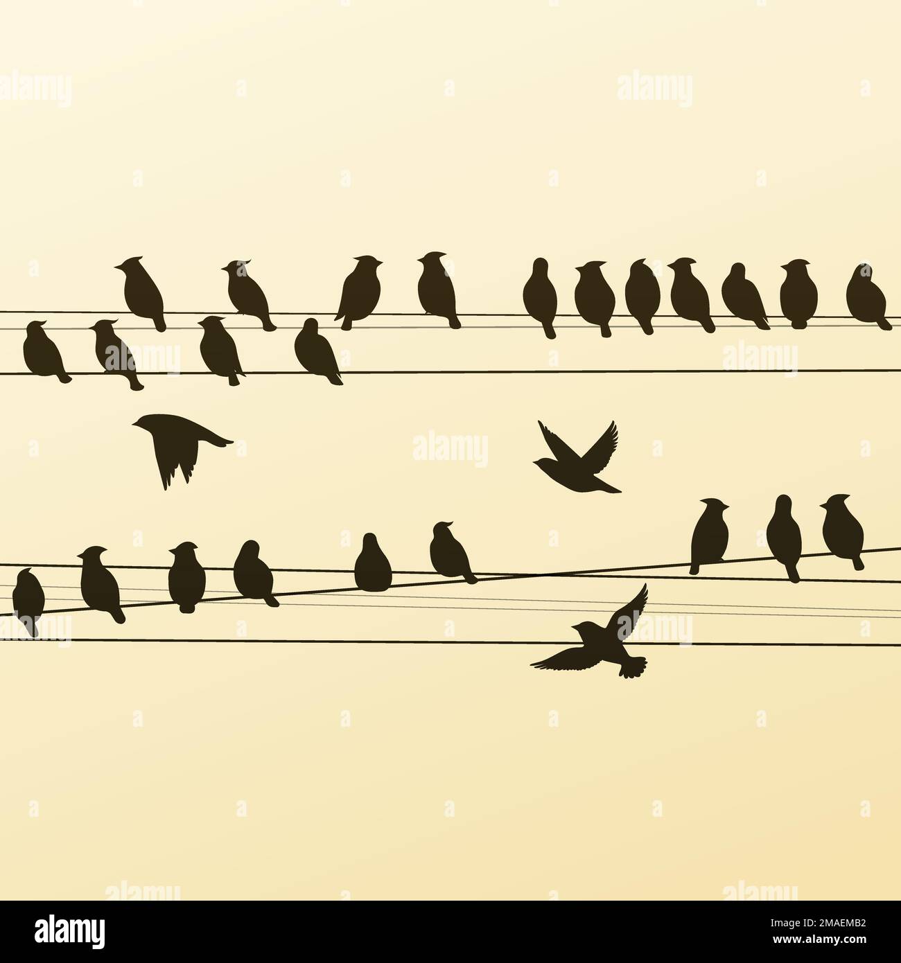 Birds on line sky Stock Vector Images - Alamy