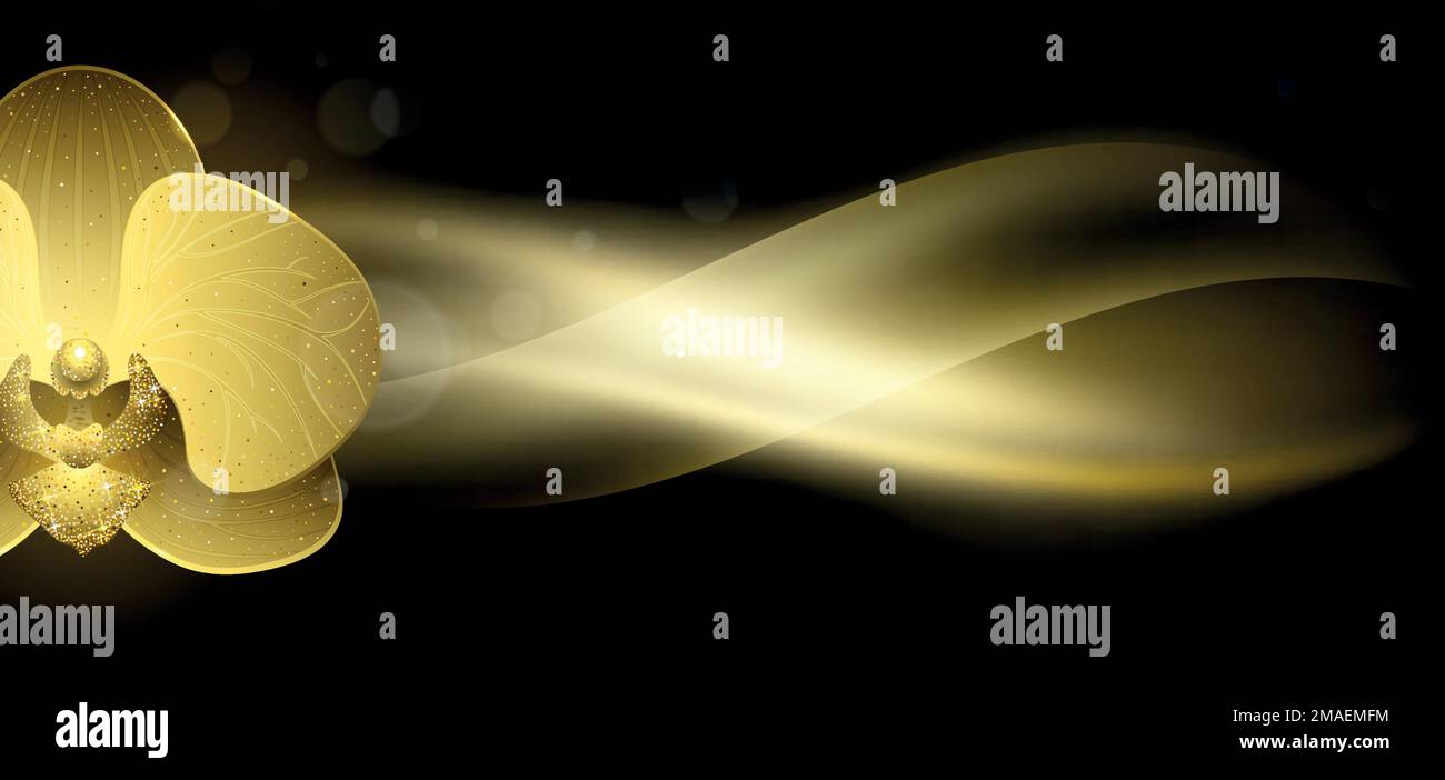 horizontal banner with golden decorative orchid on black background ...
