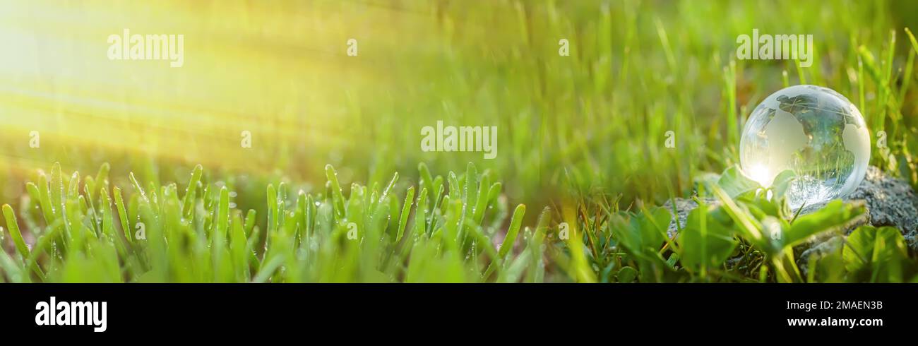 Transparent crystal globe in spring fresh grass. concept of the ...