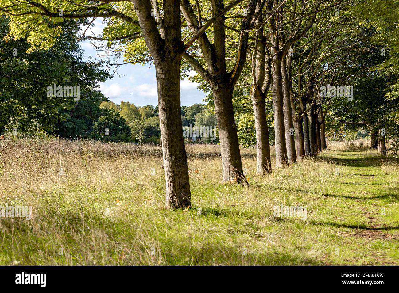 Arborfield & Wokingham Stock Photo - Alamy