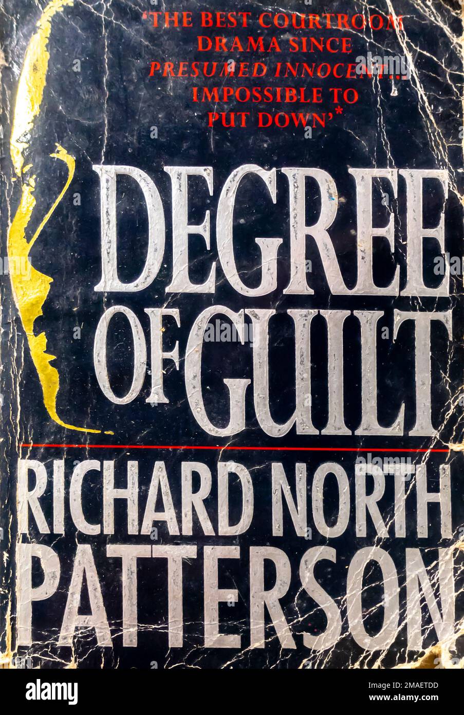Degree of guilt Book by Richard North Patterson 1992. Worn out cover ...