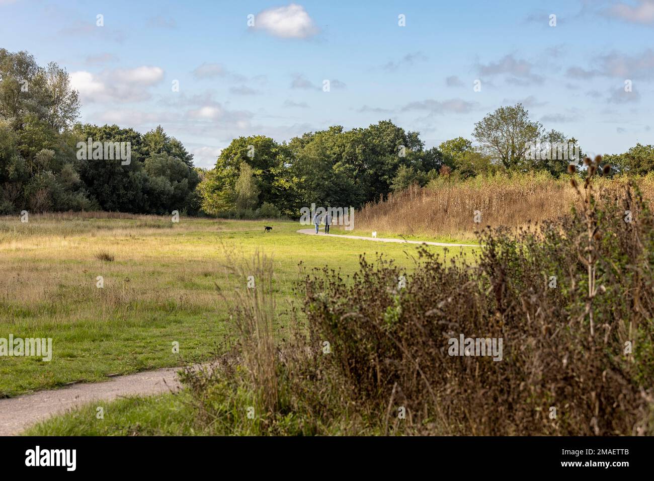 Arborfield & Wokingham Stock Photo - Alamy