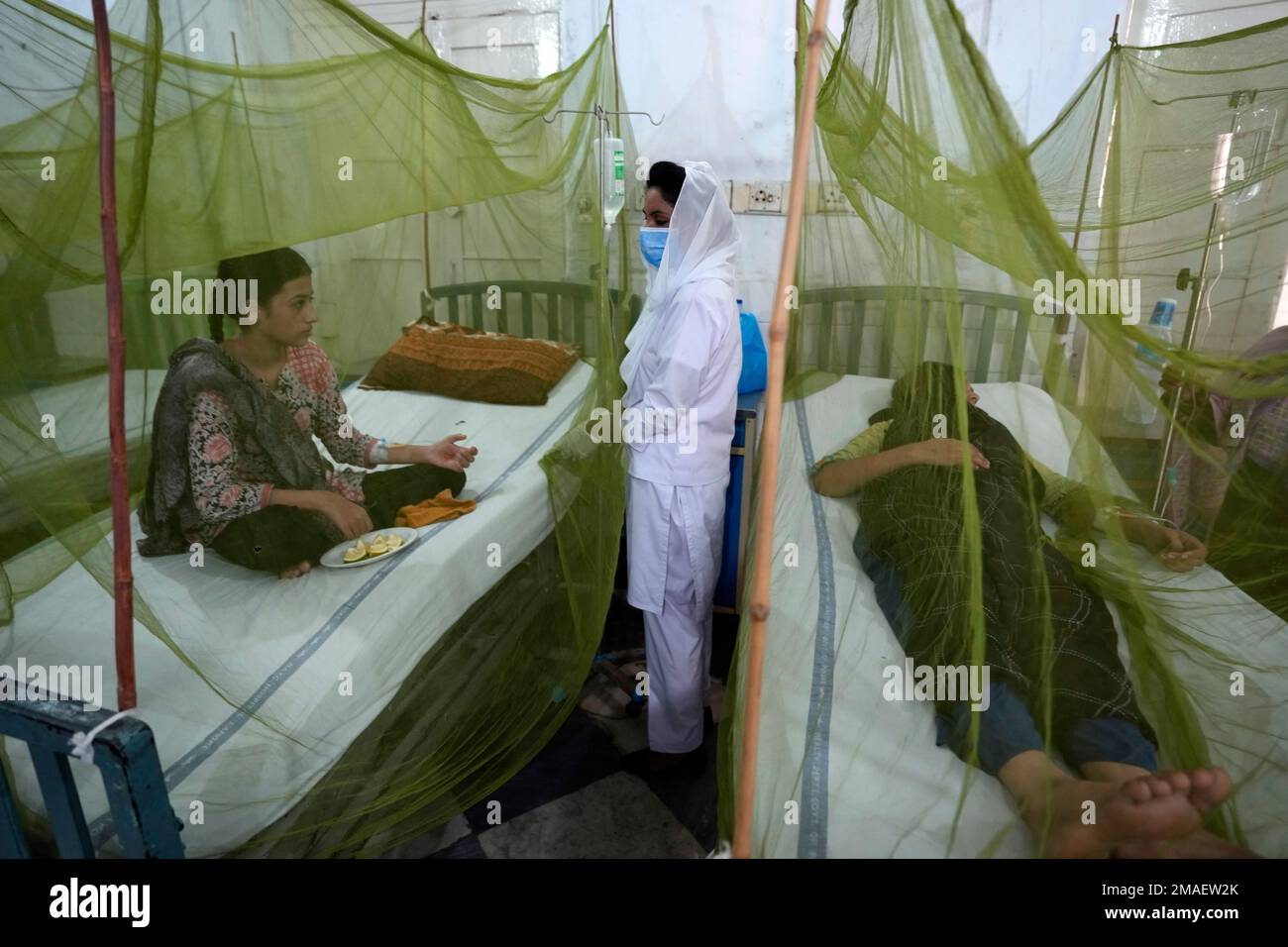 Pakistani patients suffering from dengue fever, a mosquito-borne ...