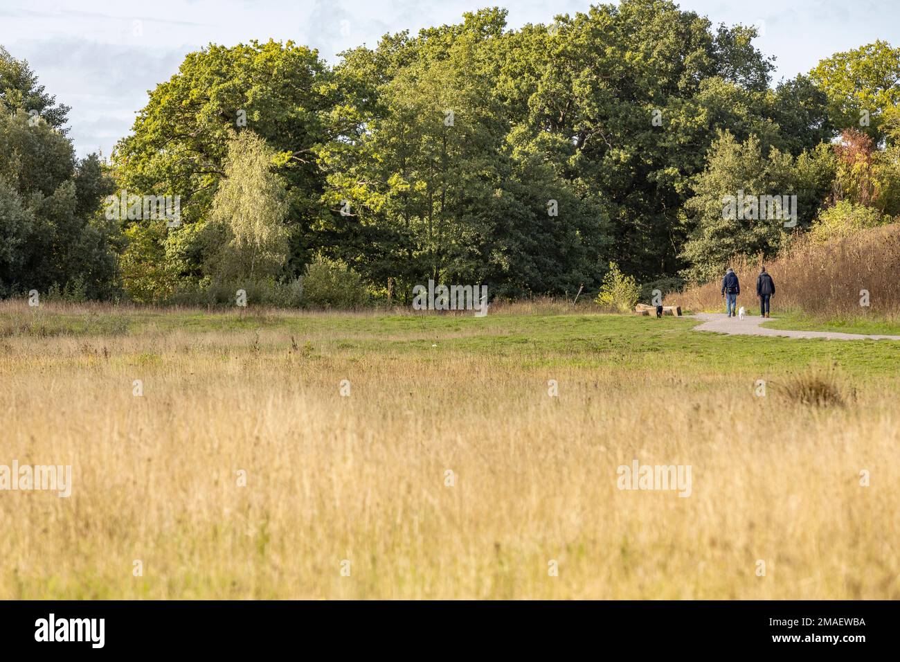 Arborfield & Wokingham Stock Photo - Alamy