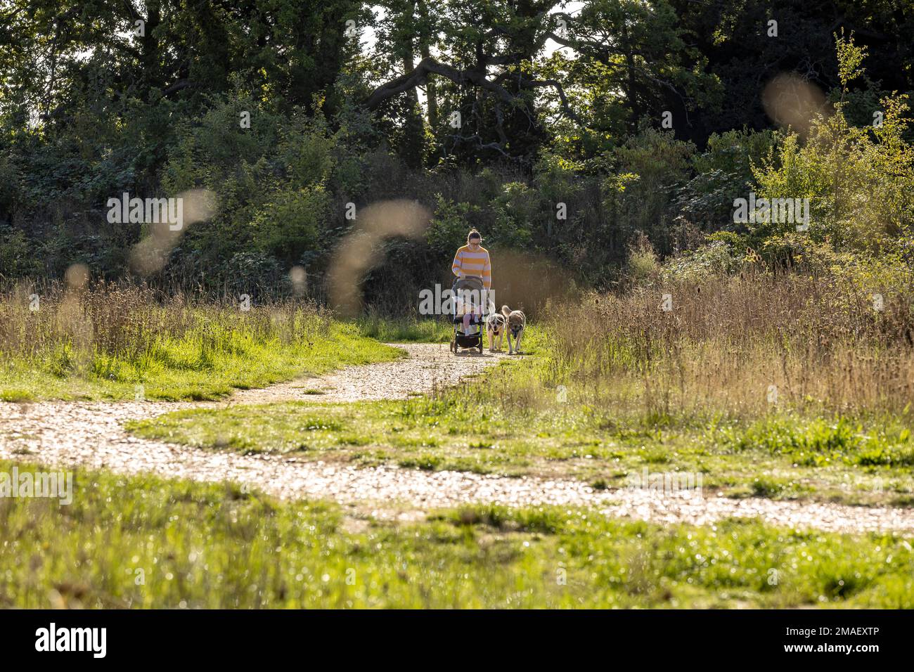 Arborfield & Wokingham Stock Photo - Alamy