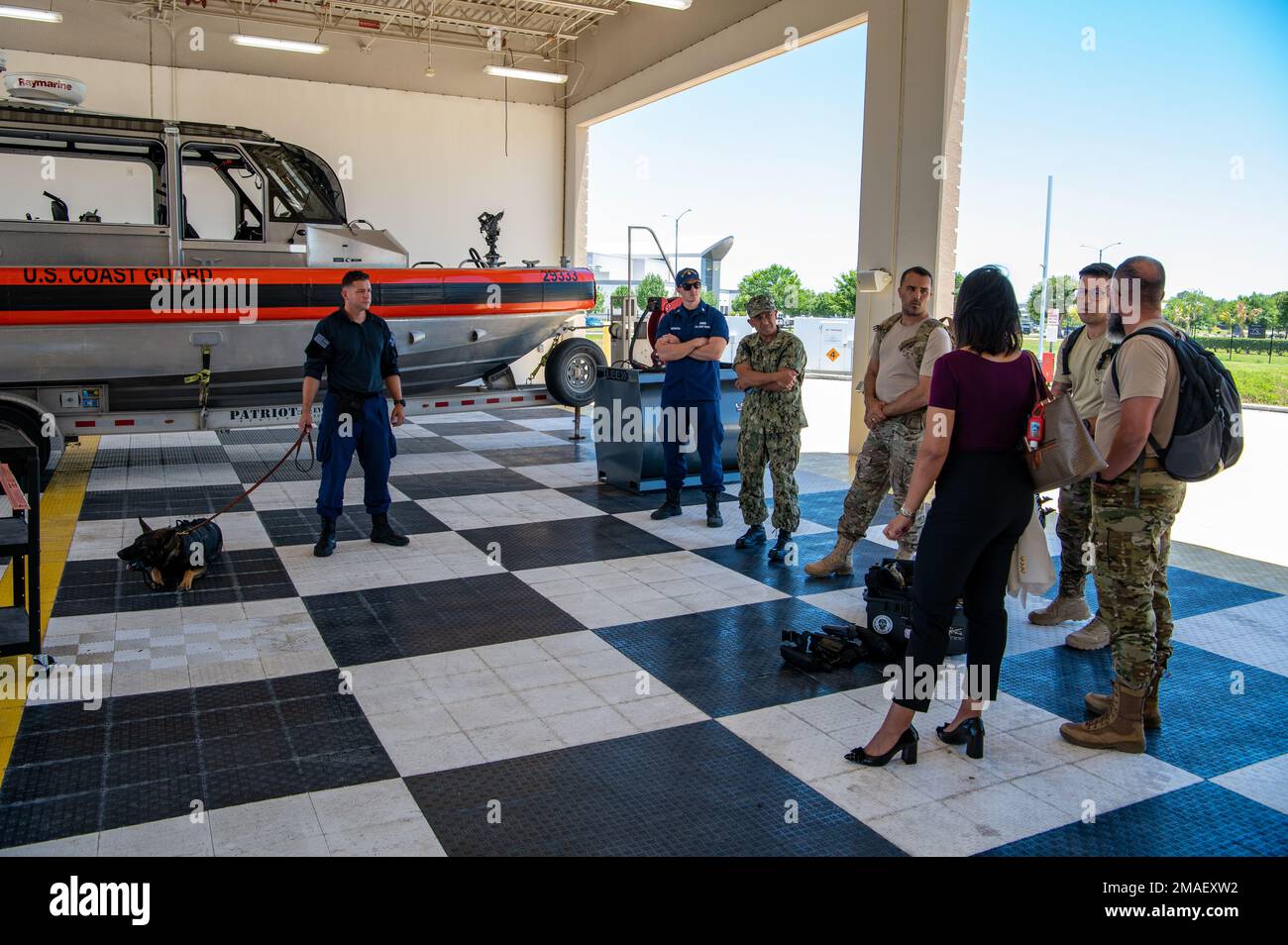 Comando de élite hi-res stock photography and images - Alamy