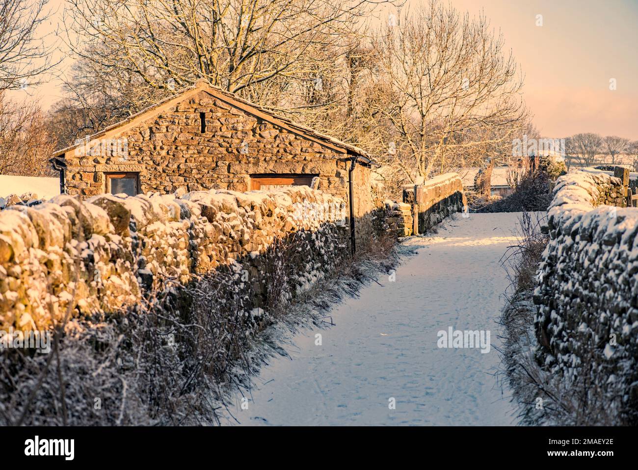 Yorkshire drystone wall and barn plus snow hi-res stock photography and ...