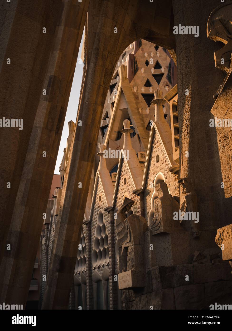 Columns in Sagrada Familia, Barcelona, Spain Stock Photo - Alamy