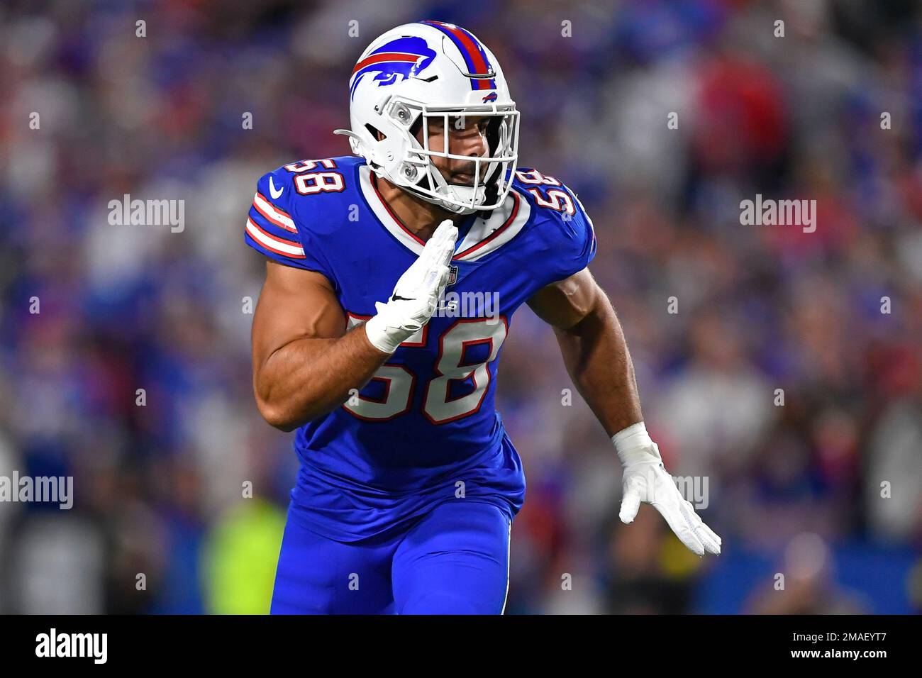 Buffalo Bills linebacker Matt Milano (58) runs on the field during the ...