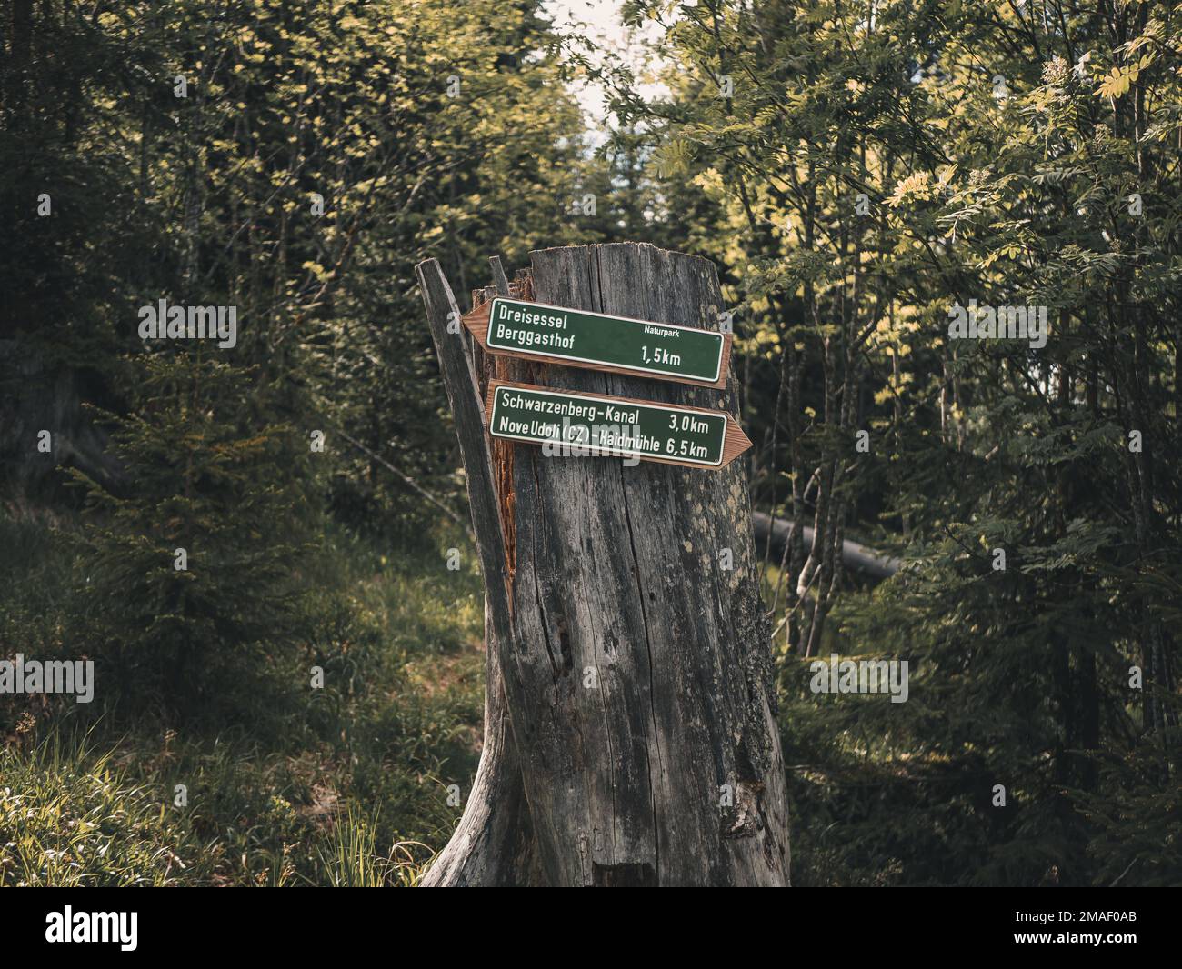 Nature trail directions hi-res stock photography and images - Alamy