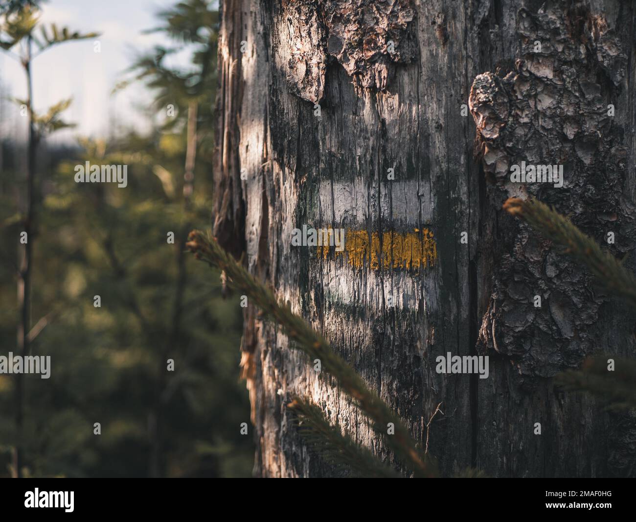 Mark trail hi-res stock photography and images - Alamy