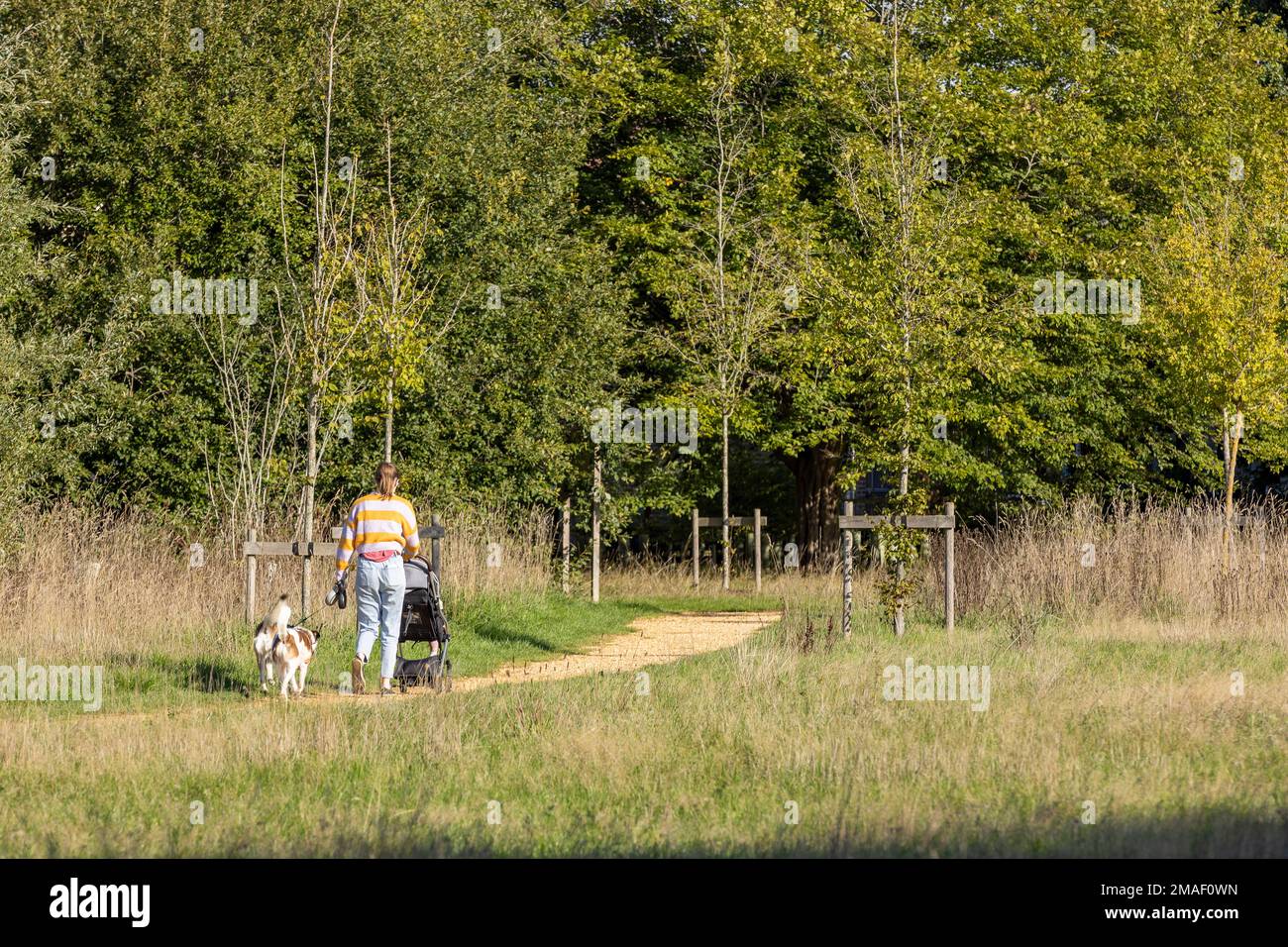 Arborfield & Wokingham Stock Photo - Alamy
