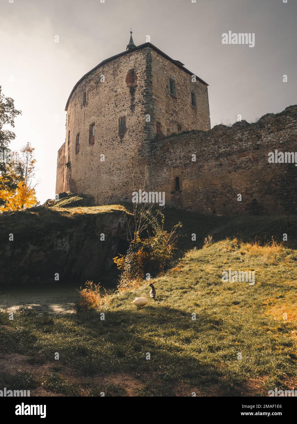 Old medieval tower of a castle with ducks around Stock Photo - Alamy