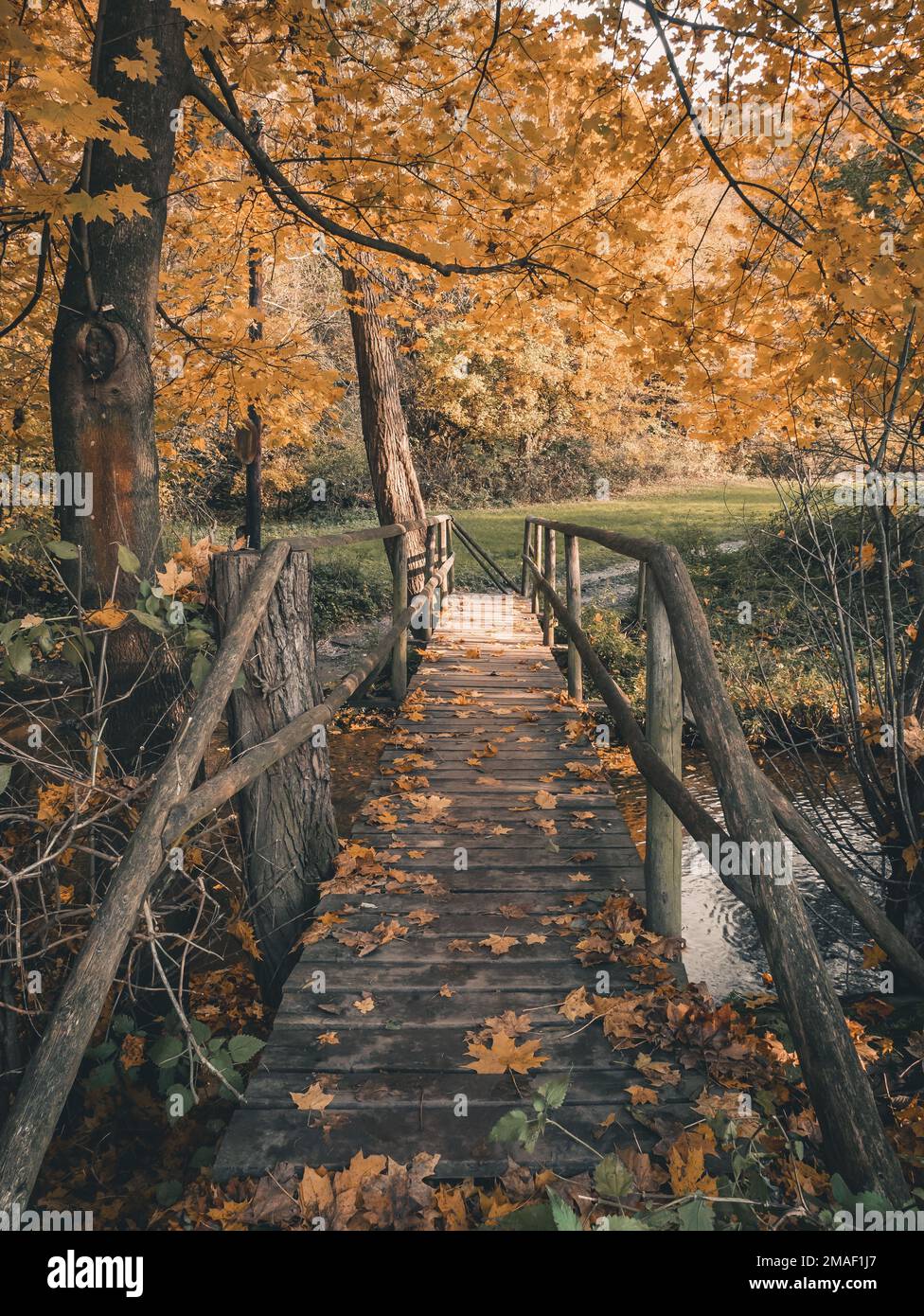 Bridge autumn fall hi-res stock photography and images - Alamy