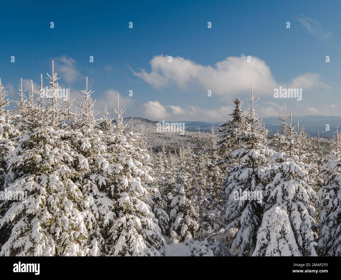 View of winter landscape and snow covered trees in Šumava National Park ...