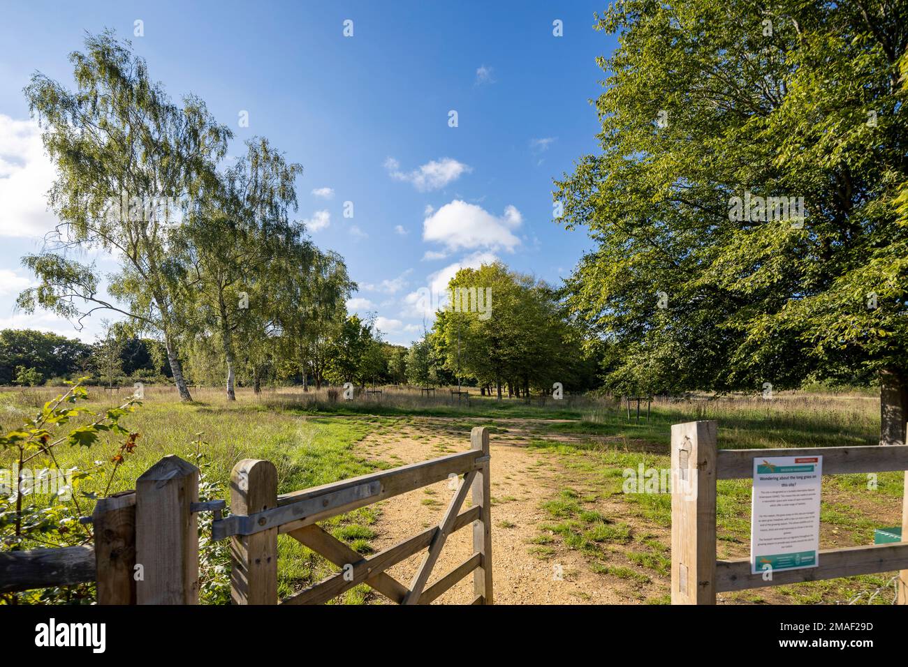 Arborfield & Wokingham Stock Photo - Alamy
