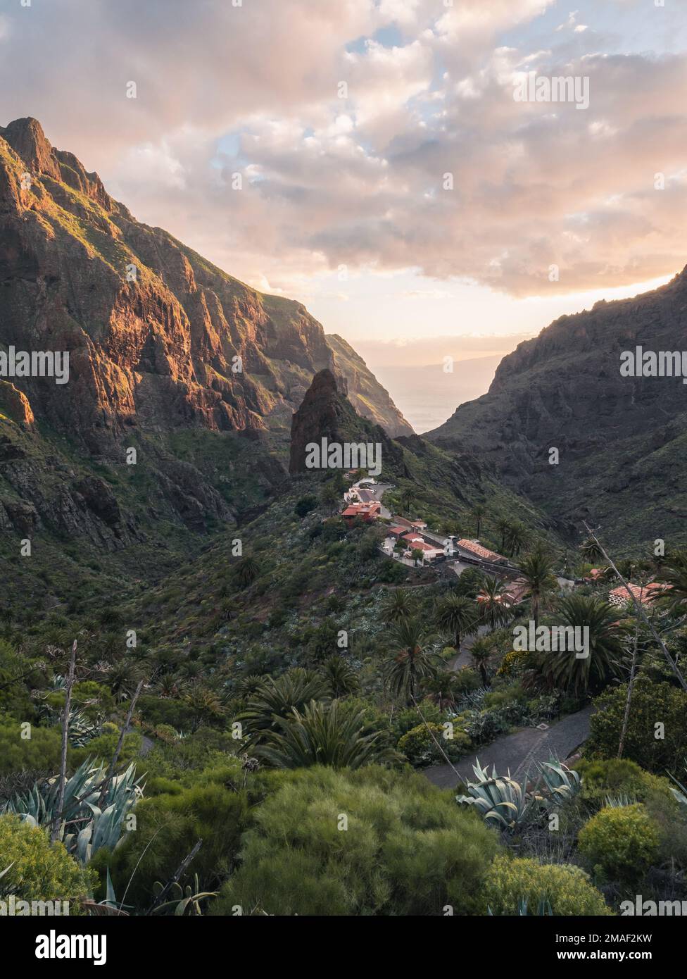View of Masca village during sunset in Tenerife Stock Photo - Alamy