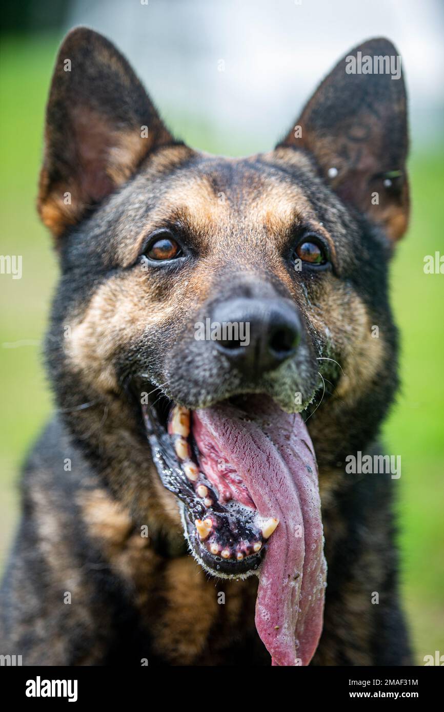 Mcb camp butler pmo hi-res stock photography and images - Alamy