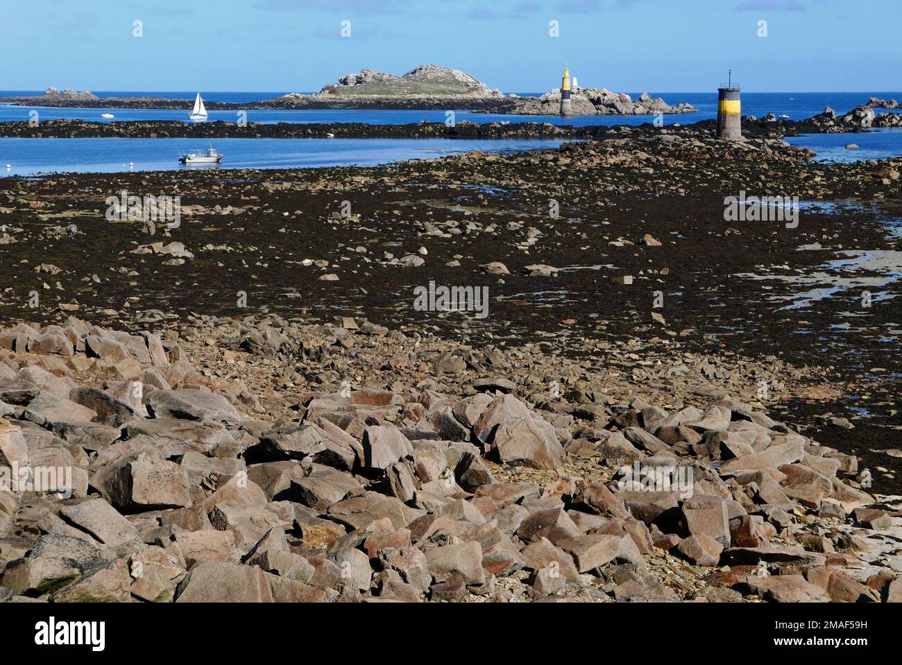 Roscoff, Enez Piqued island; Roch Morvil island , Finistere, Bretagne ...