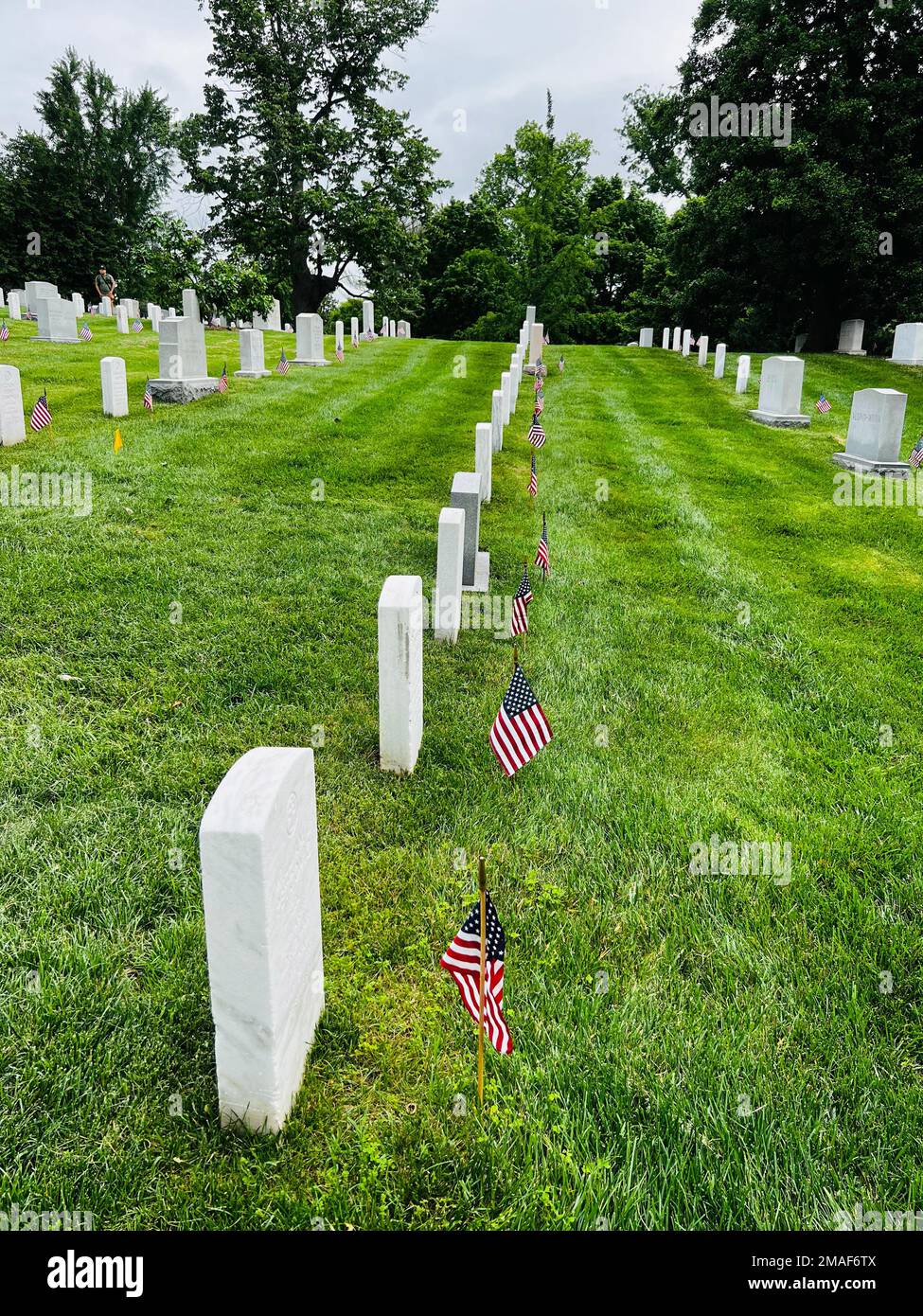 DHA Staff Chaplain Major Garnett placing flags at Arlington National ...