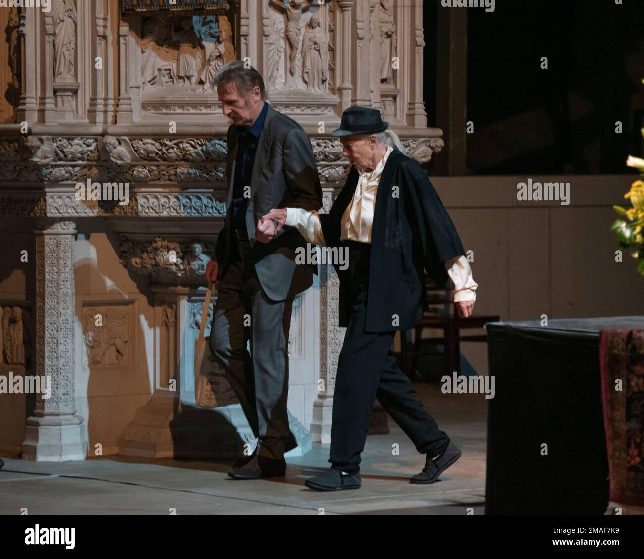 Vanessa Redgrave, and Liam Neeson attend the Joan Didion celebration of ...
