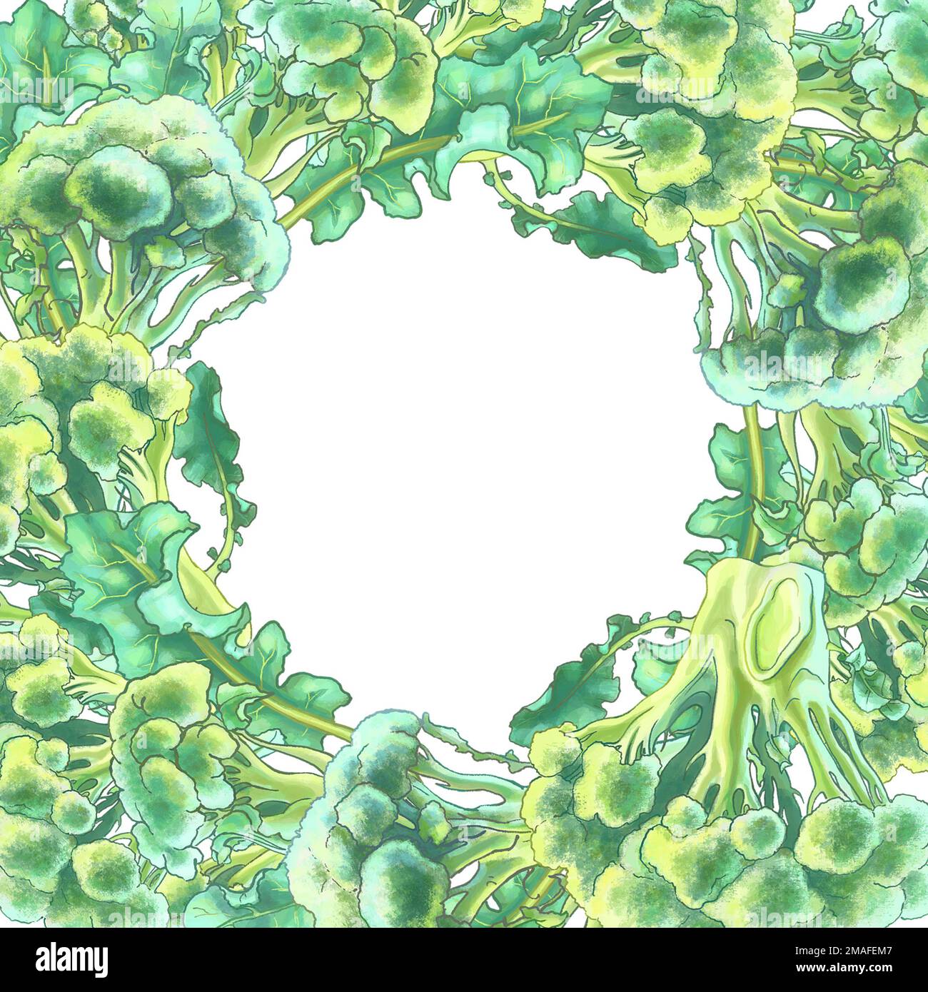 Broccoli flower illustration hi-res stock photography and images - Alamy