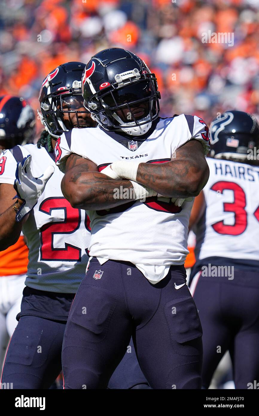 Houston Texans running back Dare Ogunbowale (33) runs the ball against ...