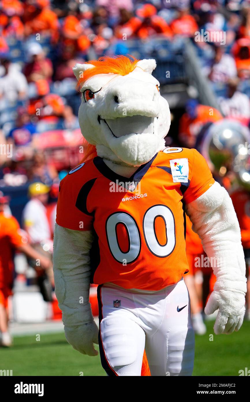 Denver Broncos mascot Miles during the Denver Broncos v the Houston ...