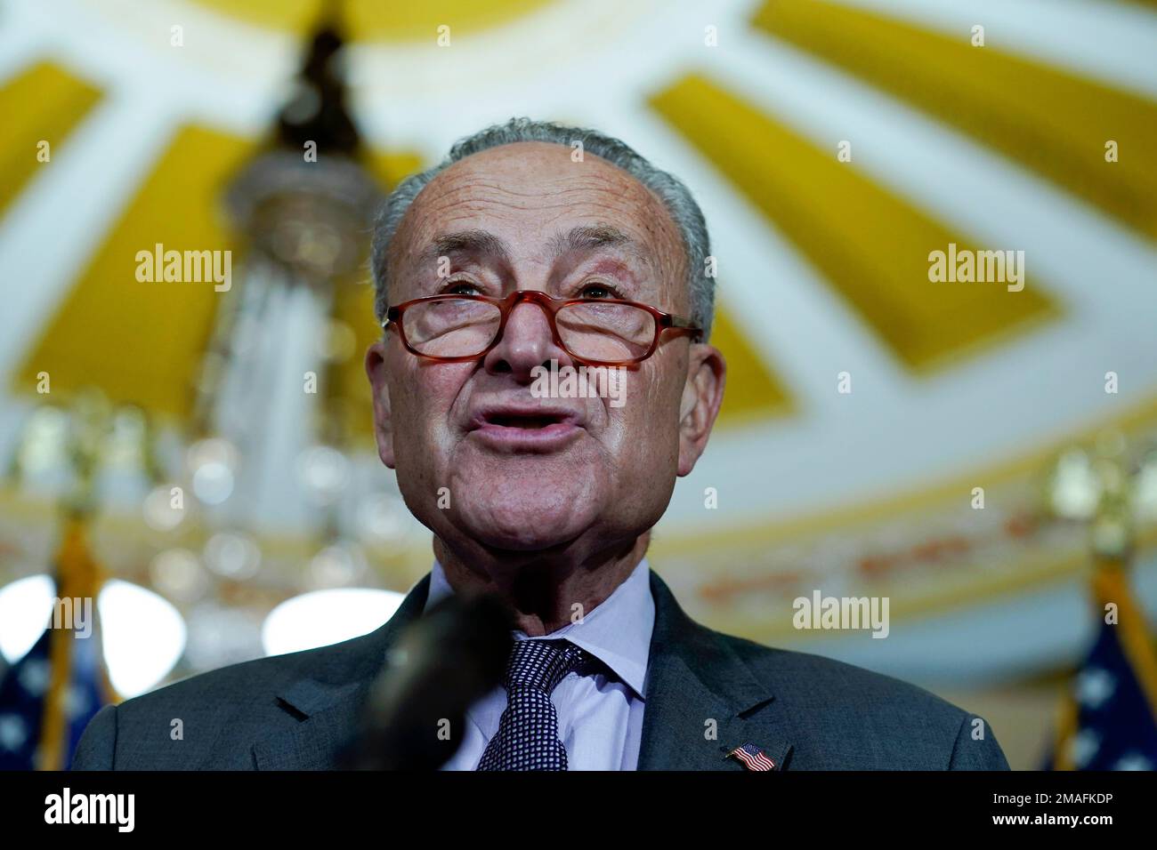 Senate Majority Leader Chuck Schumer of N.Y., speaks during a news ...