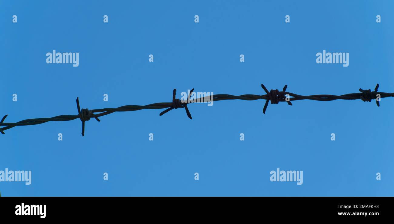 Metal barb wire on a background of clear blue sky, close-up. Black barb ...