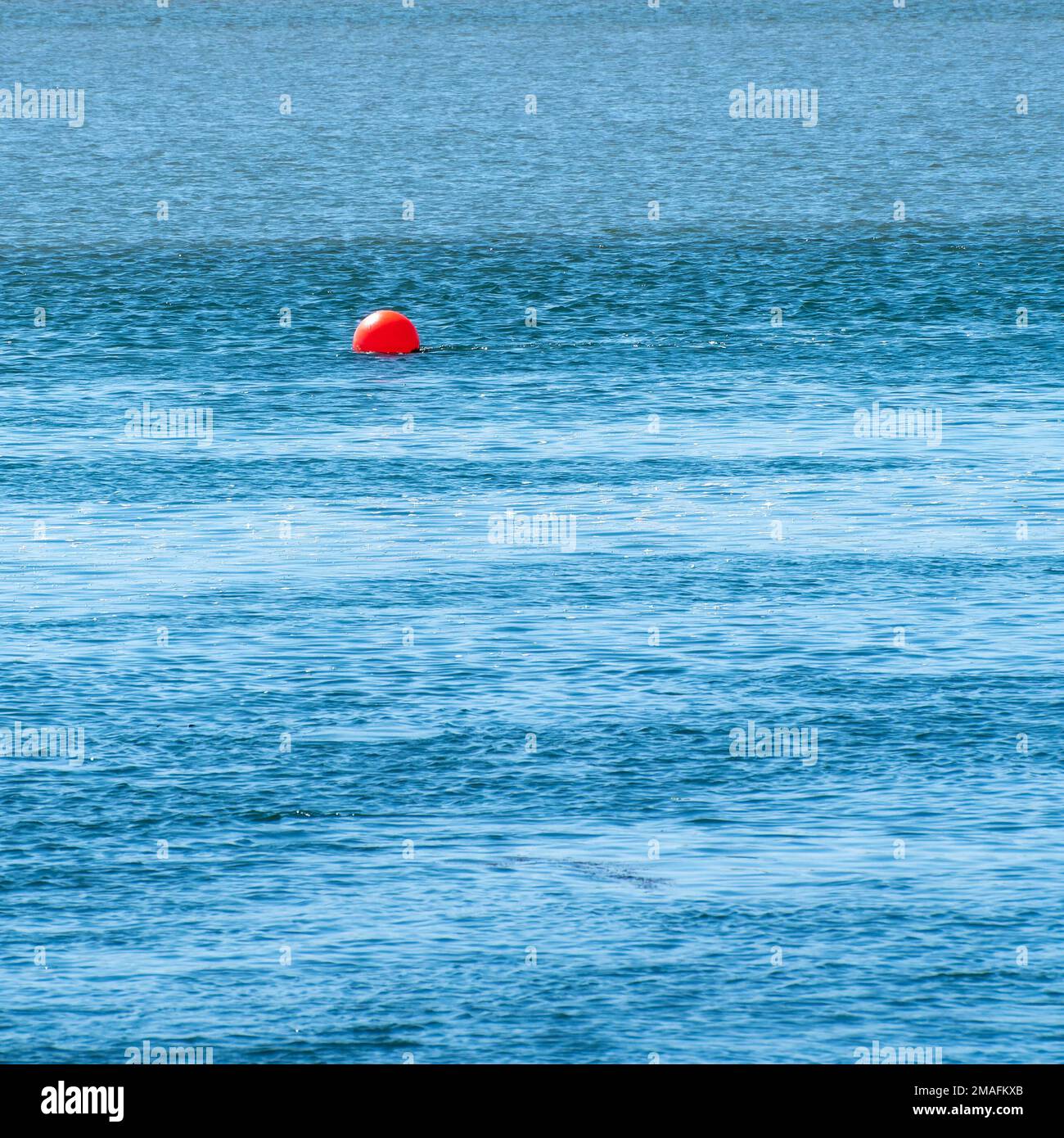 An orange sea buoy on a blue water surface. Minimalistic landscape, a ...
