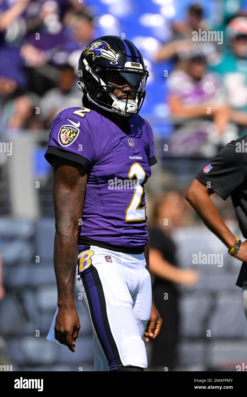 Baltimore Ravens quarterback Tyler Huntley (2) looks on during pre-game ...