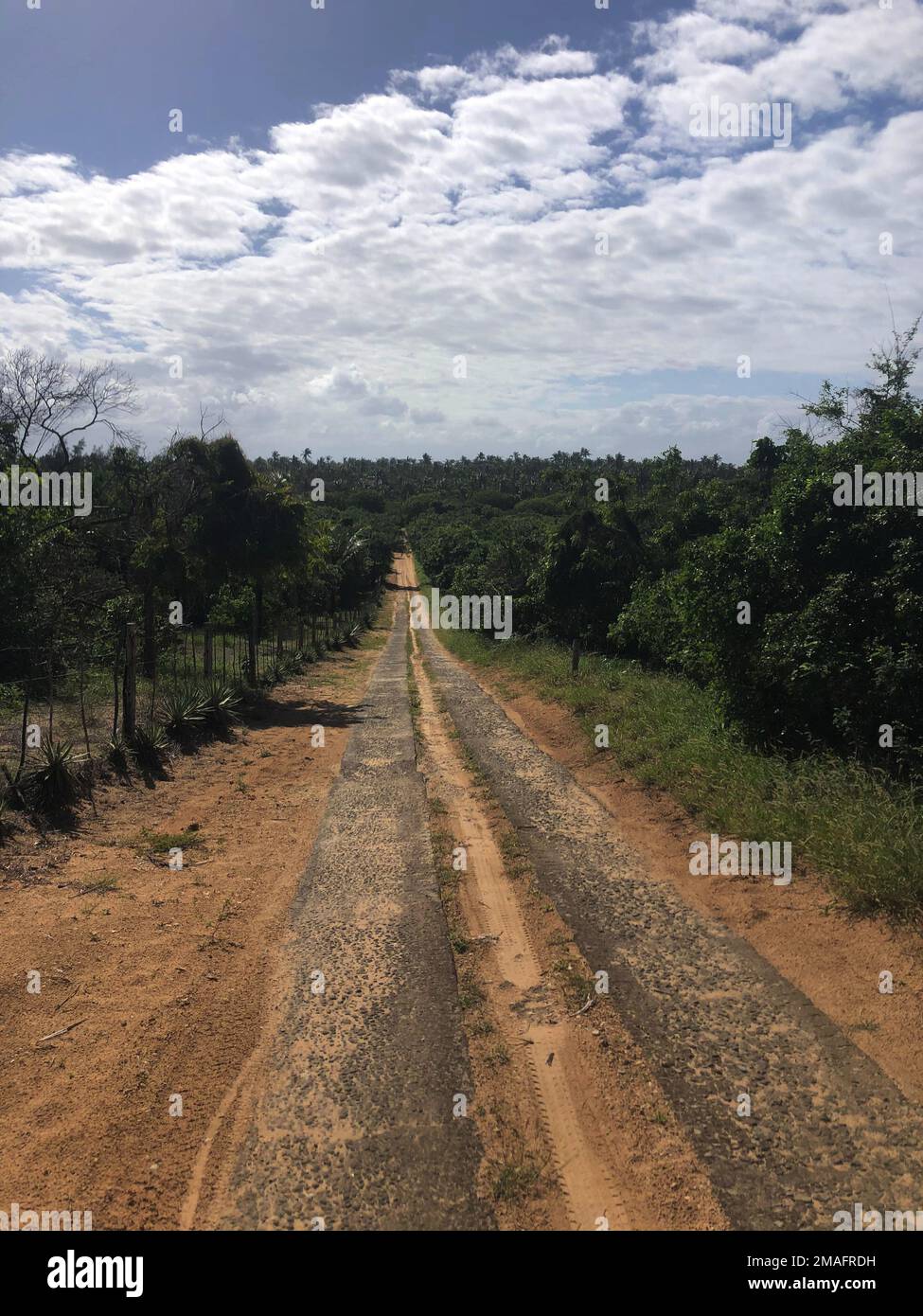 Old road through the bush Stock Photo - Alamy