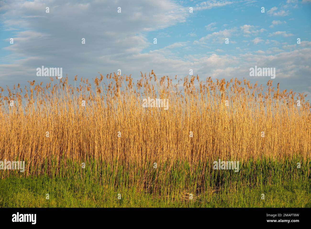Lakeside mountain landscape hi-res stock photography and images - Alamy