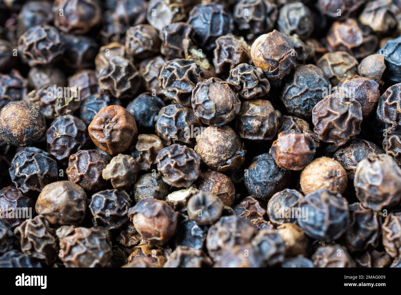 Pepper grain plant hi-res stock photography and images - Alamy