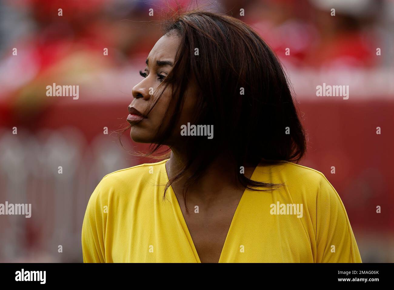 Sideline reporter Kristina Pink during an NFL football game between the ...